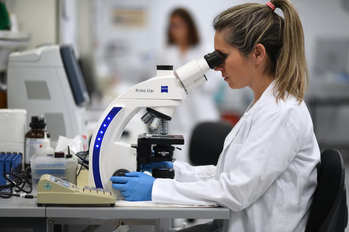 Investigación - IRIS-CC